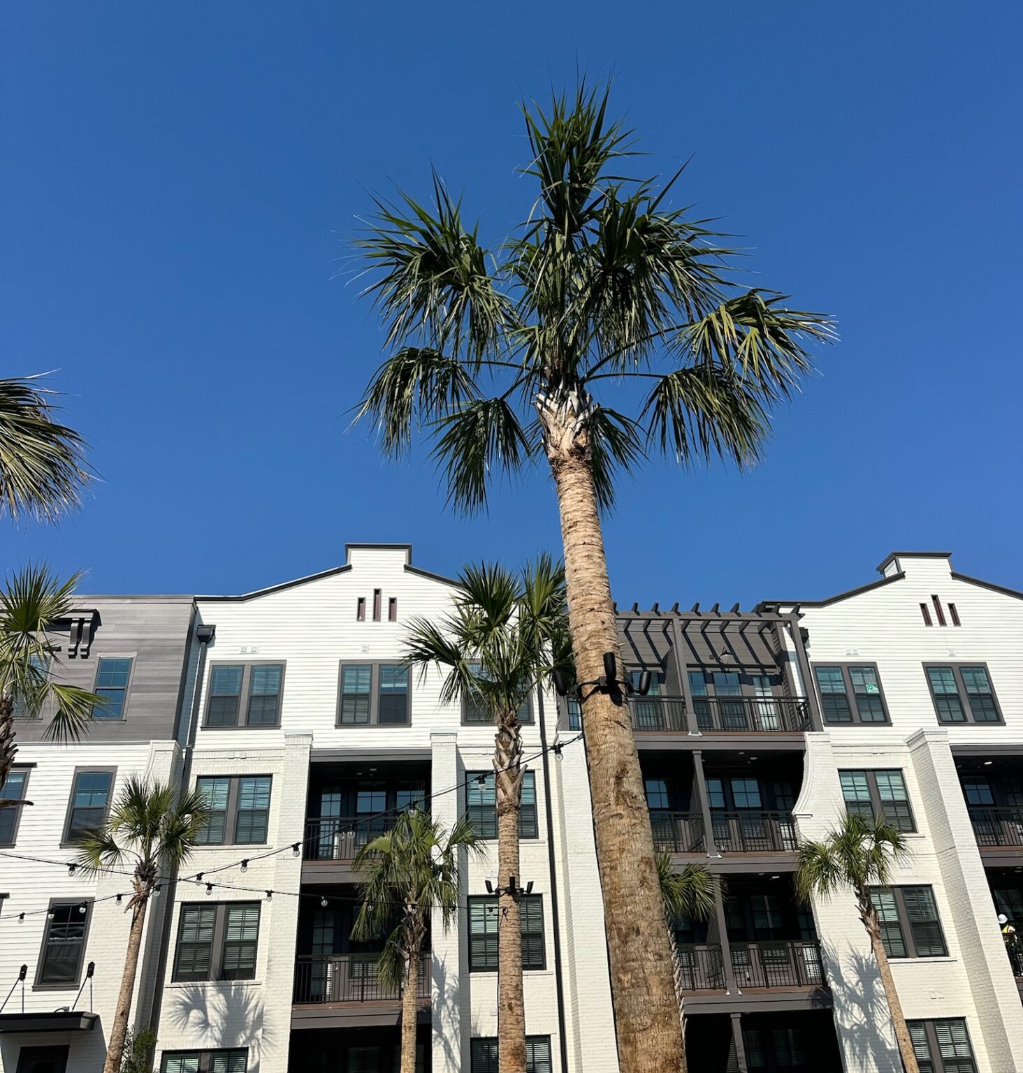 Daniel Island, Charleston Apartments | Atlantic Nowell Creek